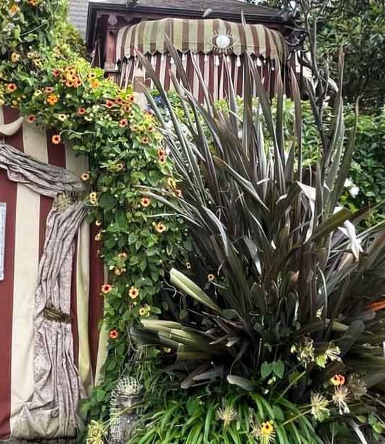 secret fantasy house california ftr