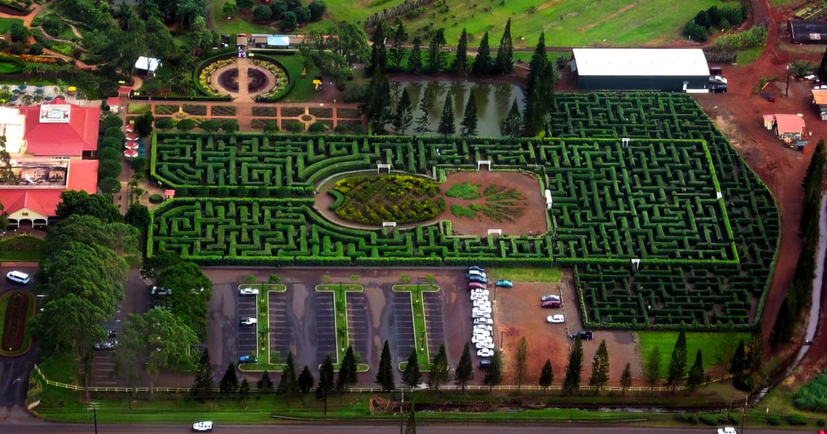 This Massive 3-Acre Pineapple Maze In Hawaii Is One Of America’s Best ...