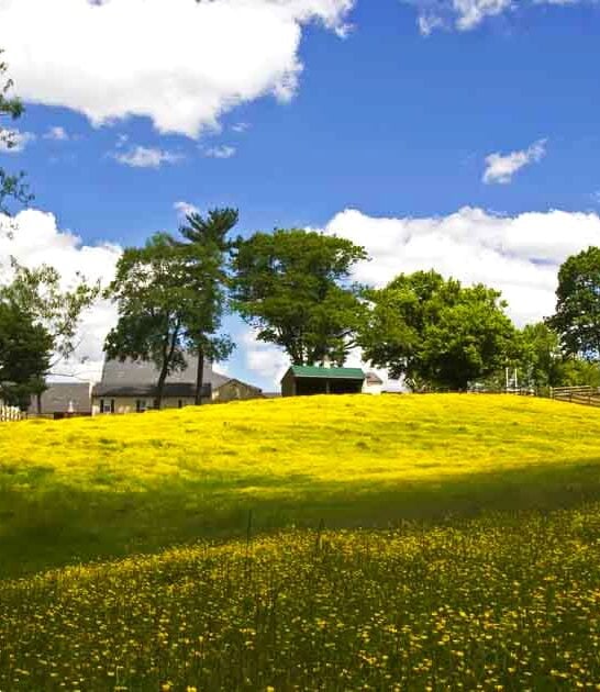 This Stunning State Park In Pennsylvania Is One Of The State&rsquo;s Best-Kept Secrets