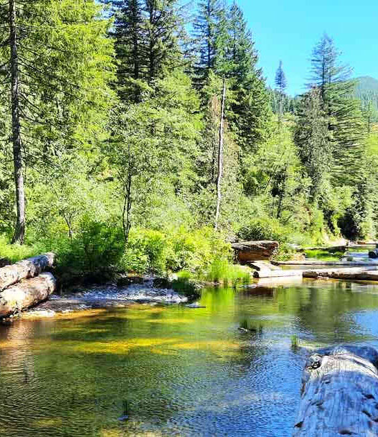 secret swimming spot washington ftr