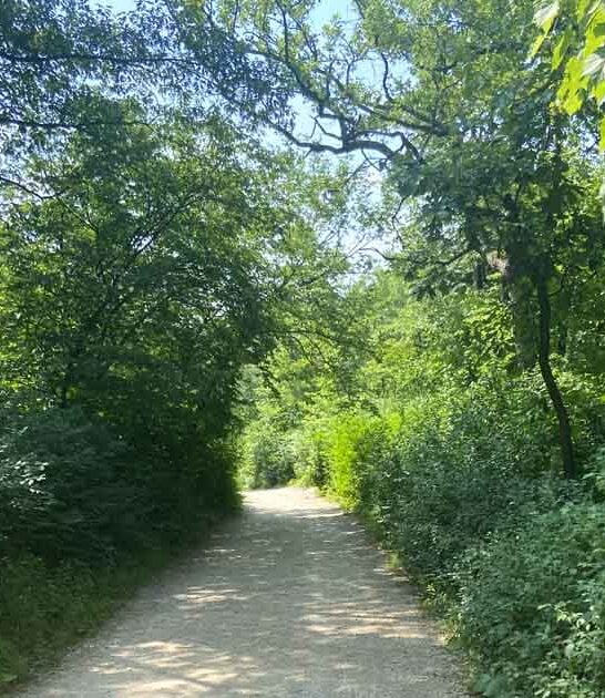 secret waterfall trail minnesota ftr