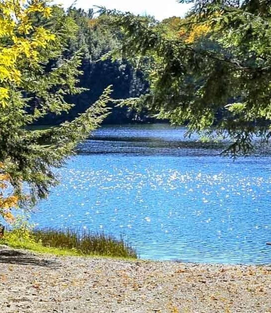 secrets vermont park stunning ftr