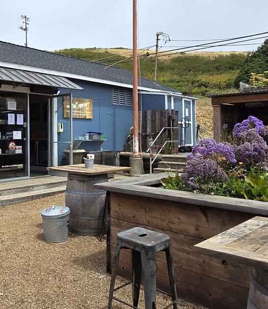 shacks california seafood worth ftr