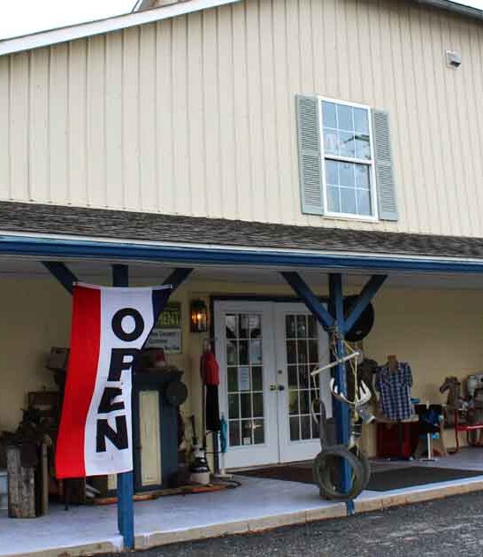 shop maryland incredible deals ftr