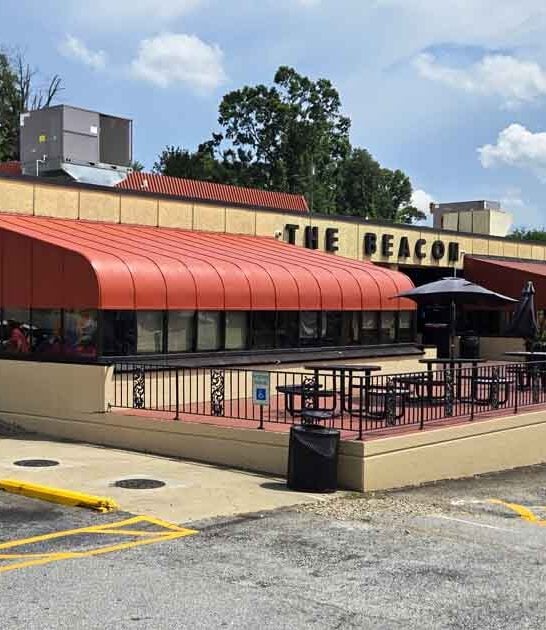 south carolina fries rings ftr