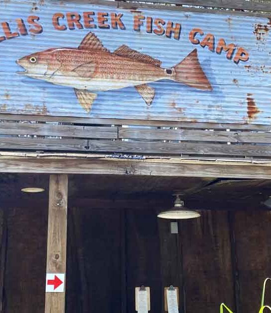 south carolina hidden seafood ftr