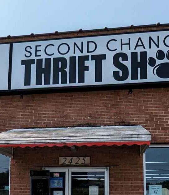 south carolina mindblowing stores ftr