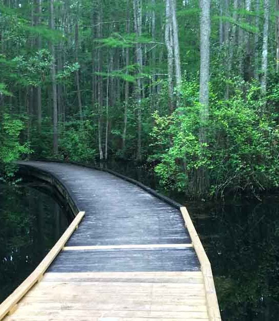 south carolina park geological ftr