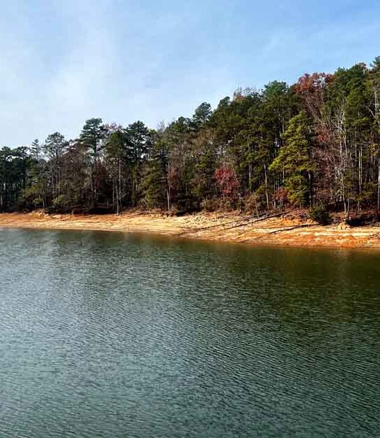 south carolina park gorgeous ftr