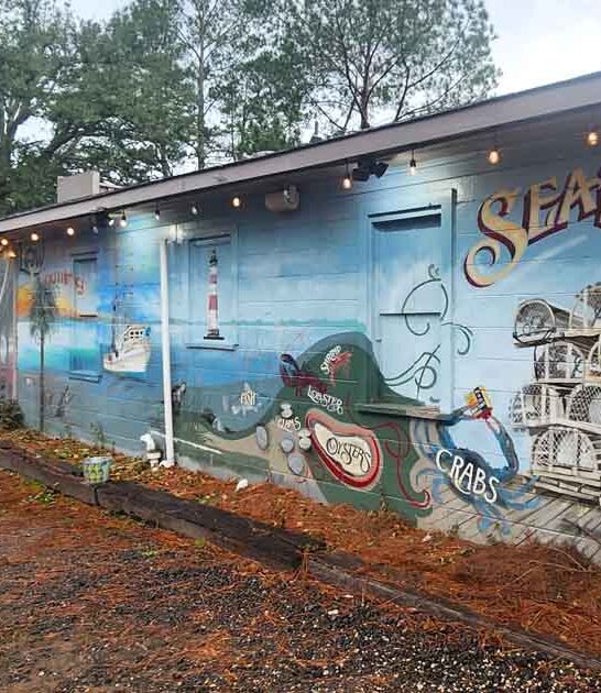 south carolina seafood havens ftr