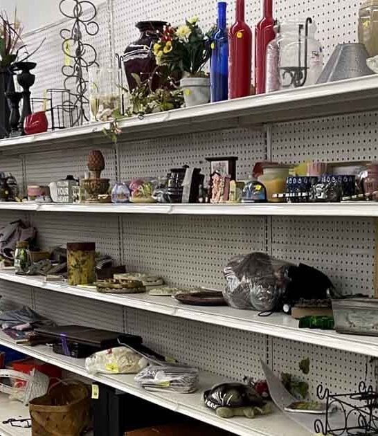 south carolina shoppers favorite ftr