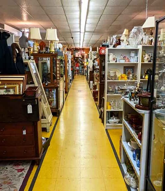 south carolina store collectors ftr