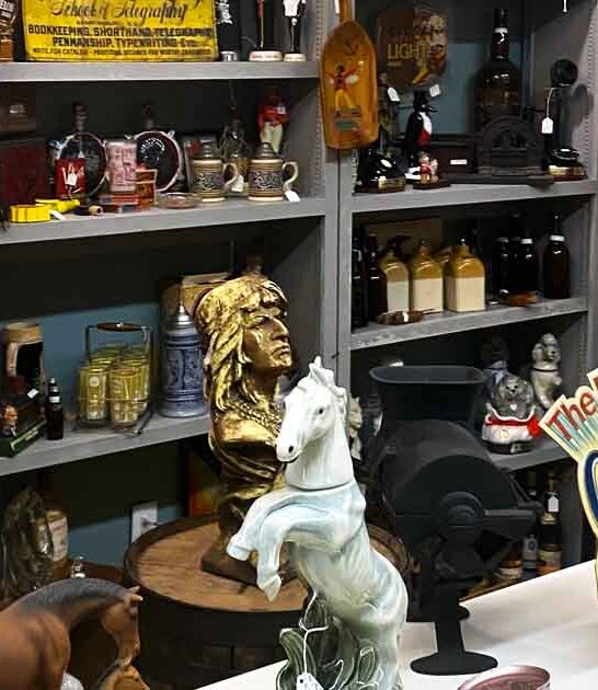 south carolina store shopping ftr