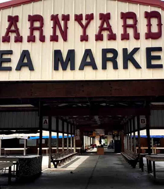 south carolina visit markets ftr