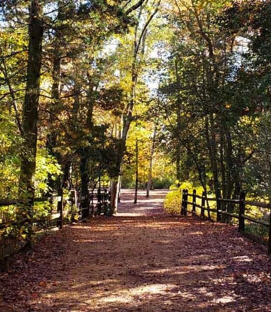 sprawling new jersey park ftr