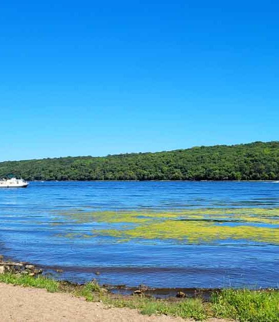 state gorgeous minnesota park ftr