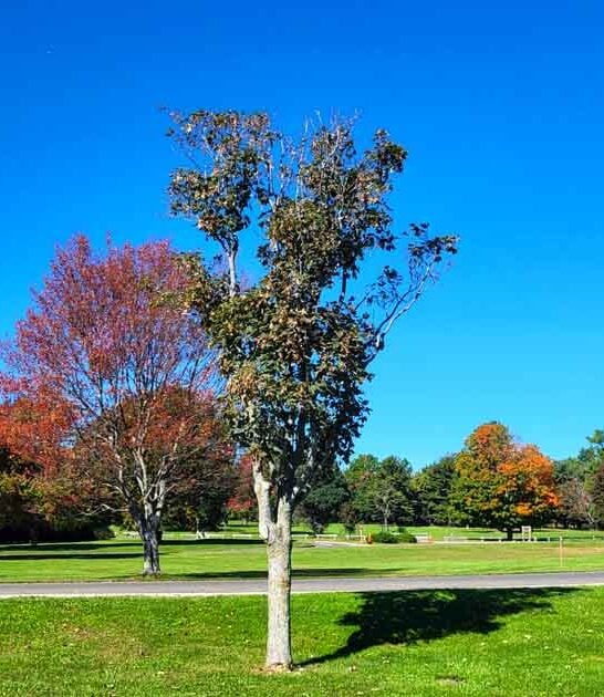 state park connecticut secret ftr