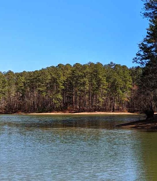 state park georgia therapeutic ftr