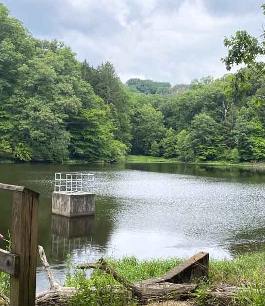 state park indiana surreal ftr