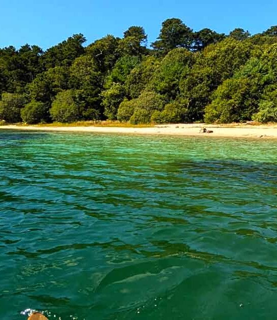 state park massachusetts scenic ftr