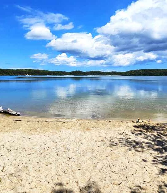 state park massachusetts surreal ftr