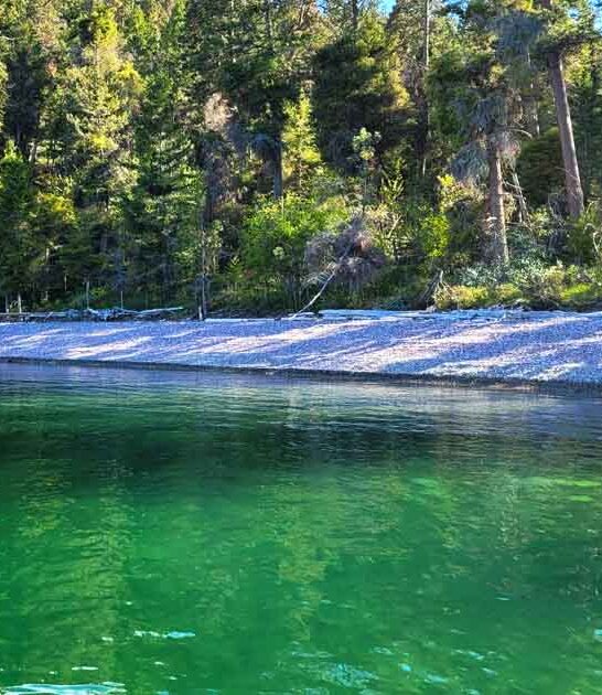 state park montana postcard ftr