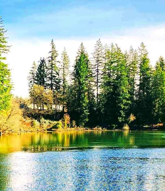 state park oregon therapeutic ftr