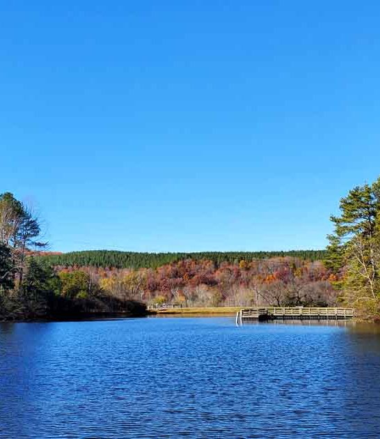 state park virginia getaway ftr