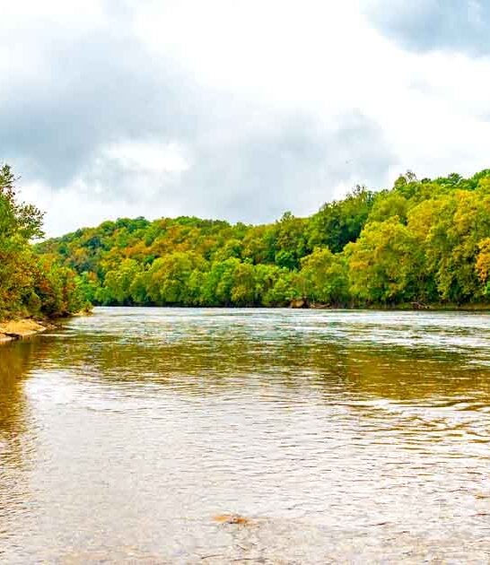 state park virginia therapeutic ftr