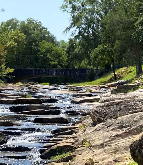 state parks georgia ftr