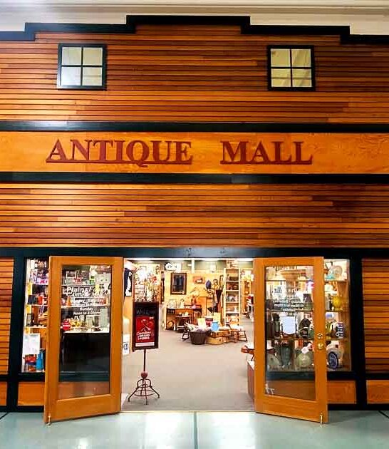 store antique north dakota ftr