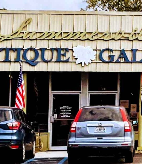 store finds south carolina ftr