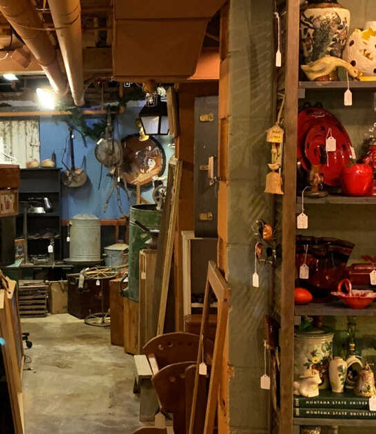 store montana collectors dream ftr