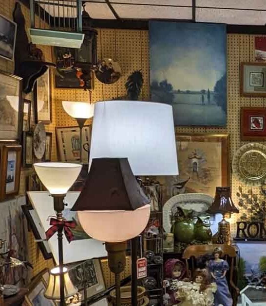 store new jersey wonderland ftr