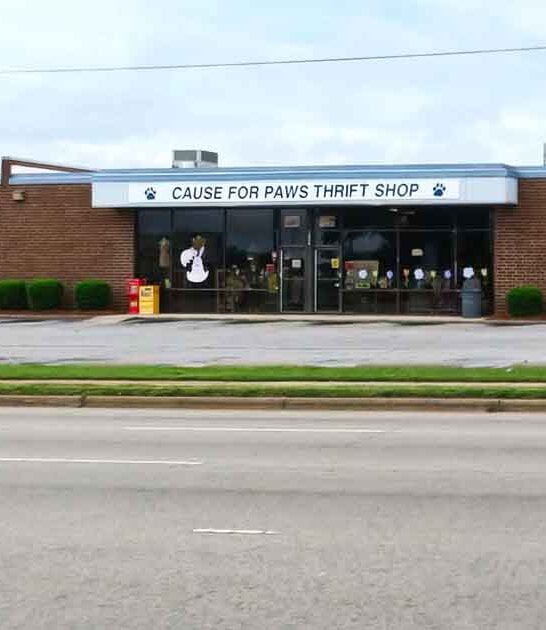 stores north carolina amazing ftr