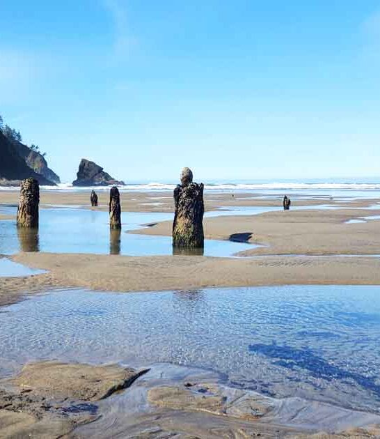 strangest beach oregon seen ftr