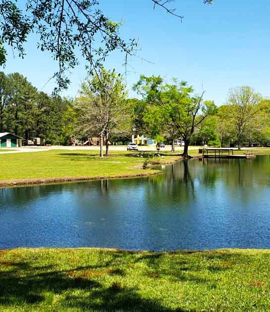 stunning alabama state park ftr
