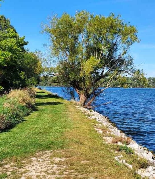 stunning ohio park melt ftr