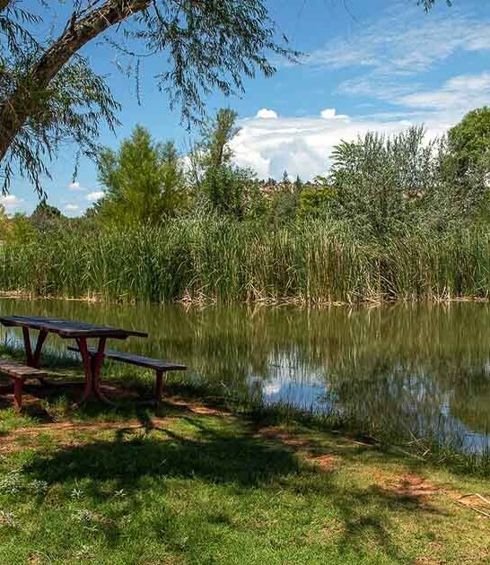 stunning park arizona heard ftr