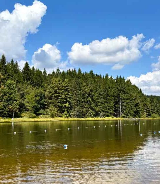 stunning park maryland heard ftr