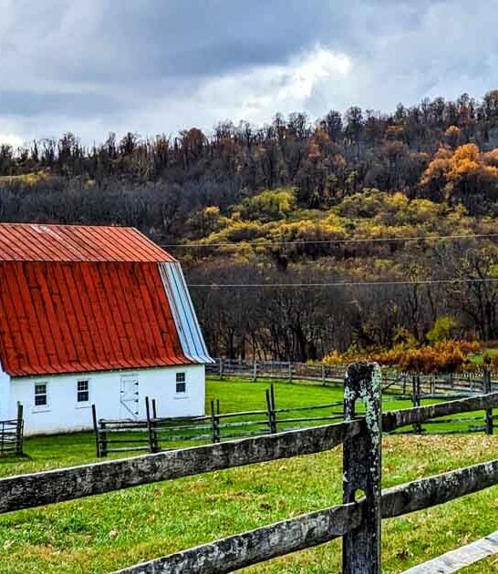 stunning virginia park good ftr