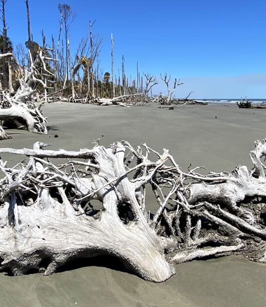 surreal beach south carolina ftr