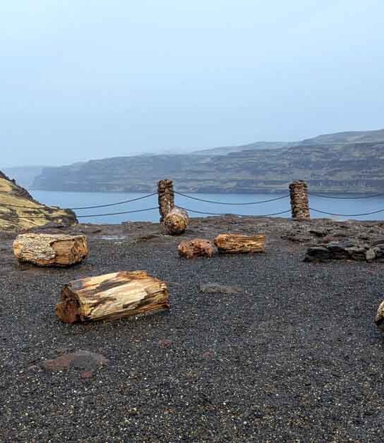 surreal washington state park ftr