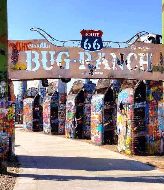 texas bizarre car graveyard ftr