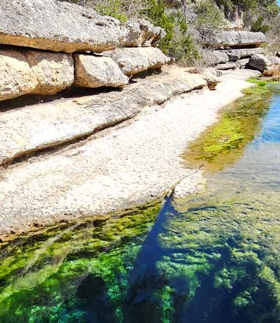texas spectacular spring ftr