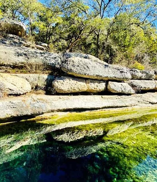 texas stunning spring ftr