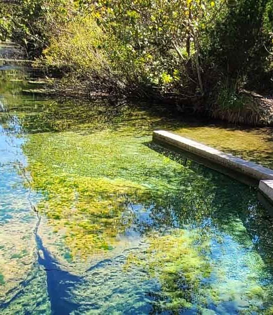 texas underrated spring ftr