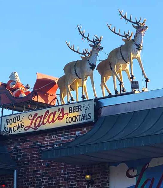 texas weird dive bar ftr