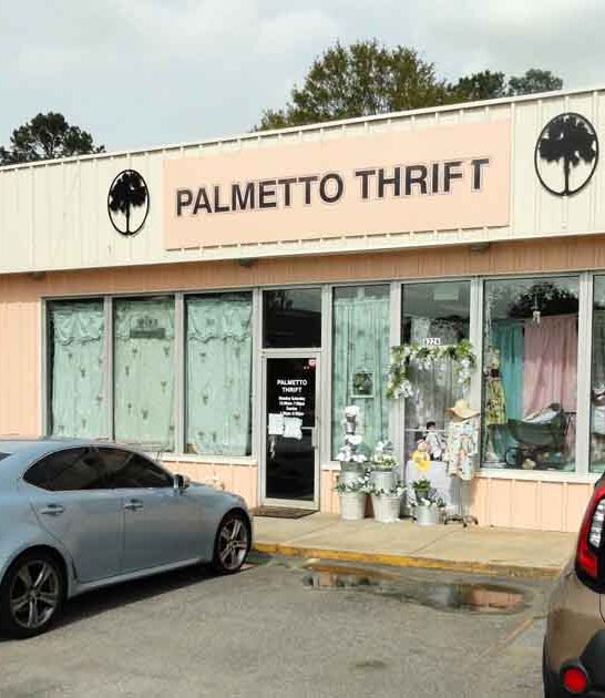 thrift discoveries south carolina ftr