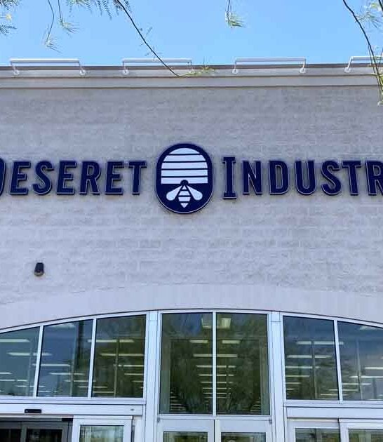 thrift store huge arizona ftr